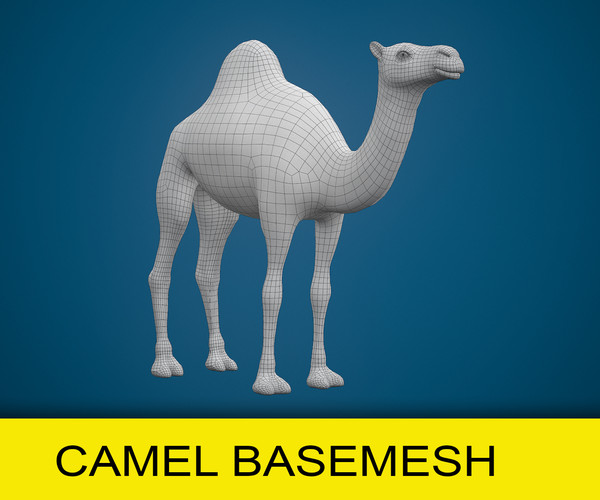 ArtStation - Camel Basemesh | Game Assets
