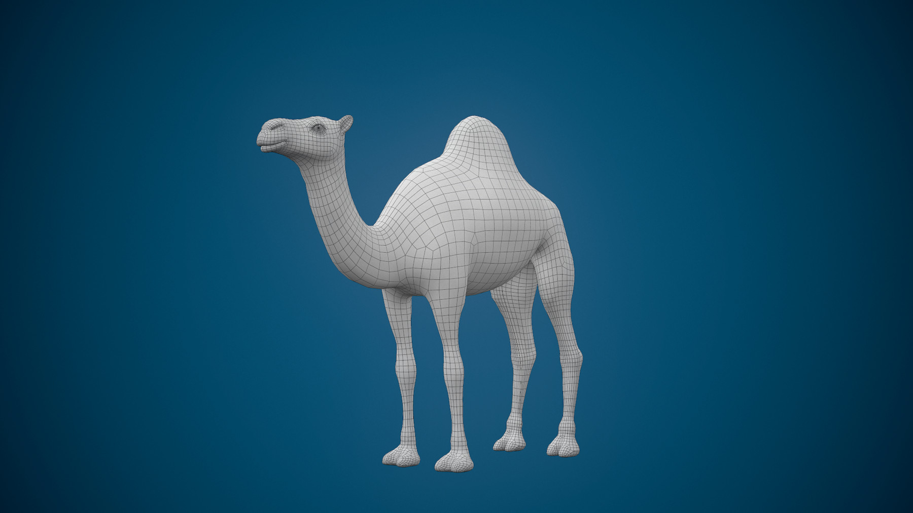 ArtStation - Camel Basemesh | Game Assets