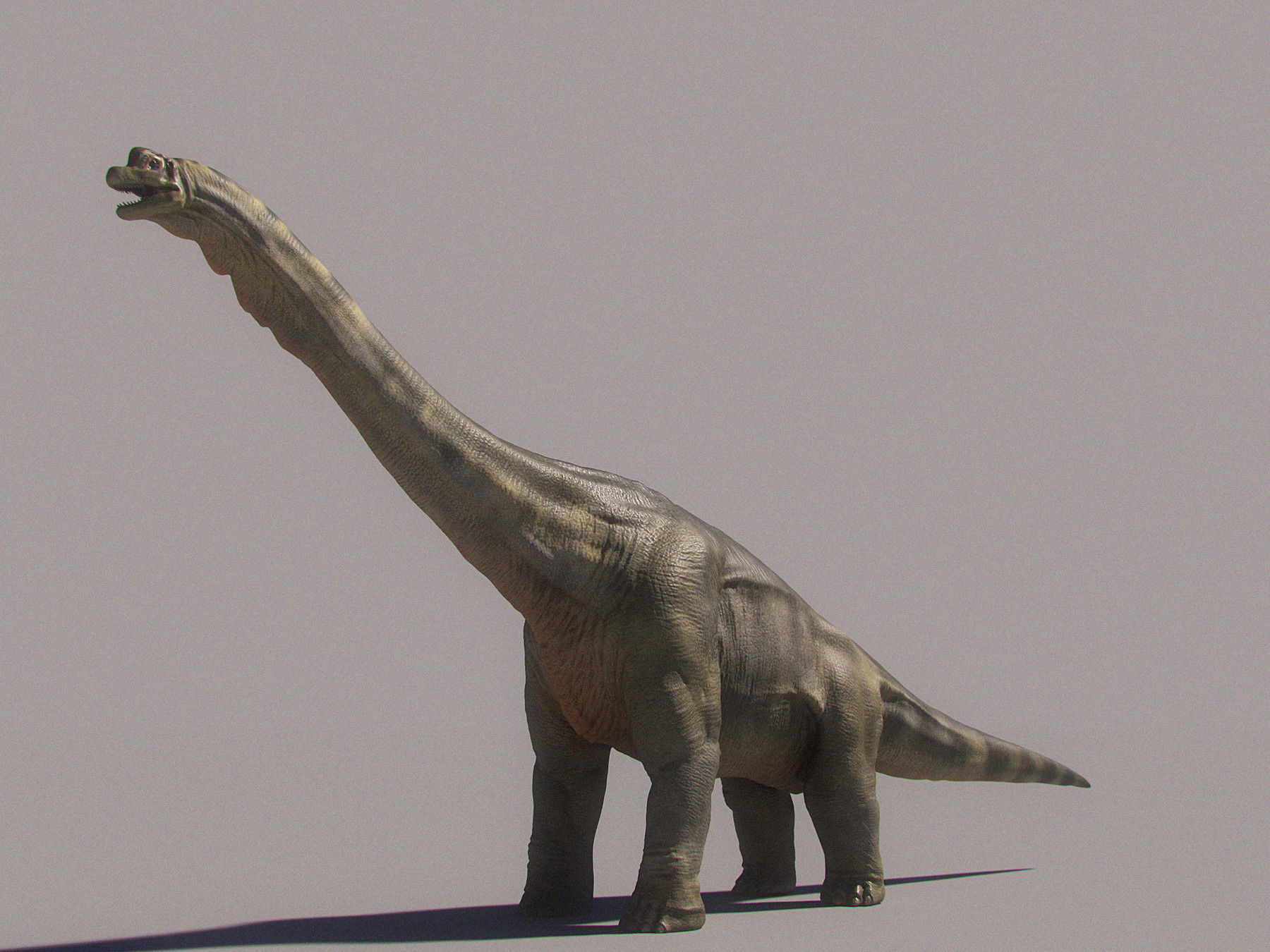 ArtStation - Brachiosaurus Dinosaur Maya Rig | Resources