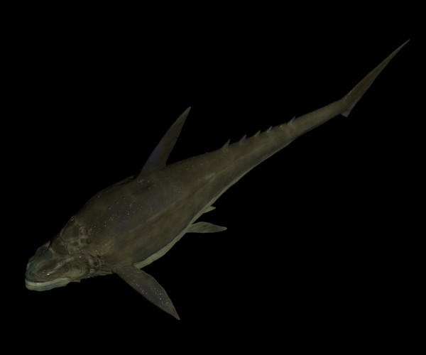 ArtStation - Sea Beast Maya Rig | Resources