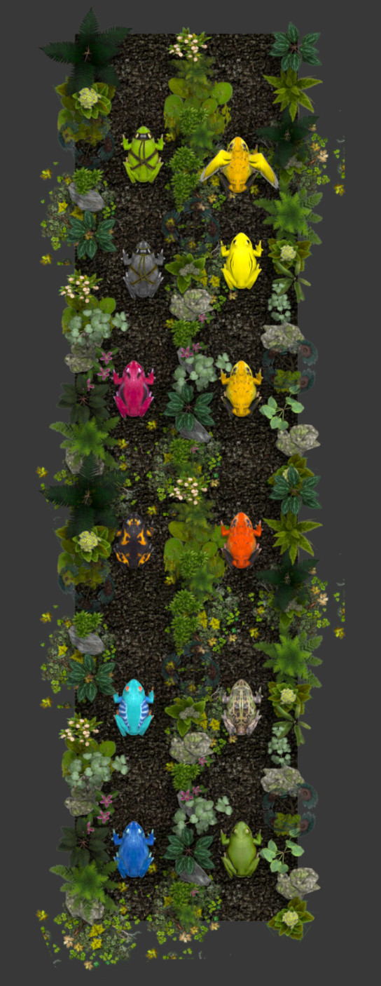 ArtStation - frog collection | Resources