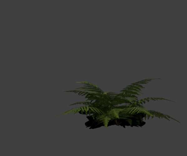 ArtStation - Fern Alpha Created in Blender | Game Assets