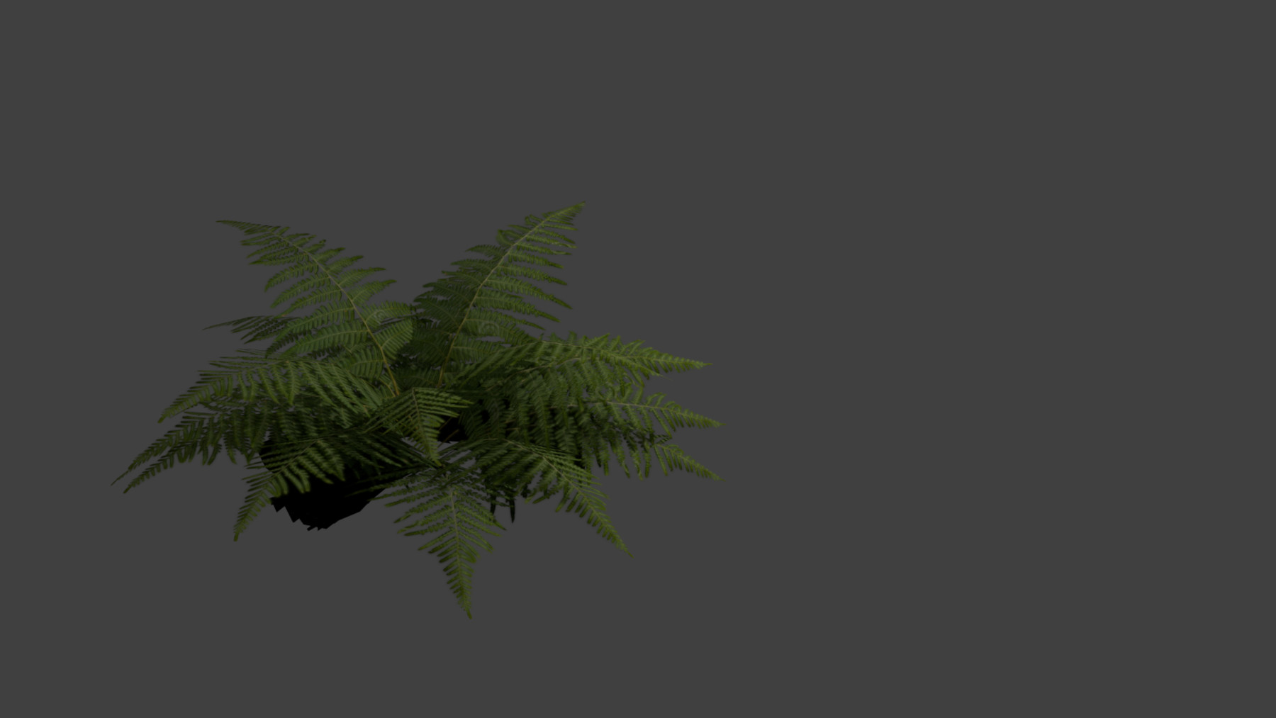 ArtStation - Fern Alpha Created in Blender | Game Assets