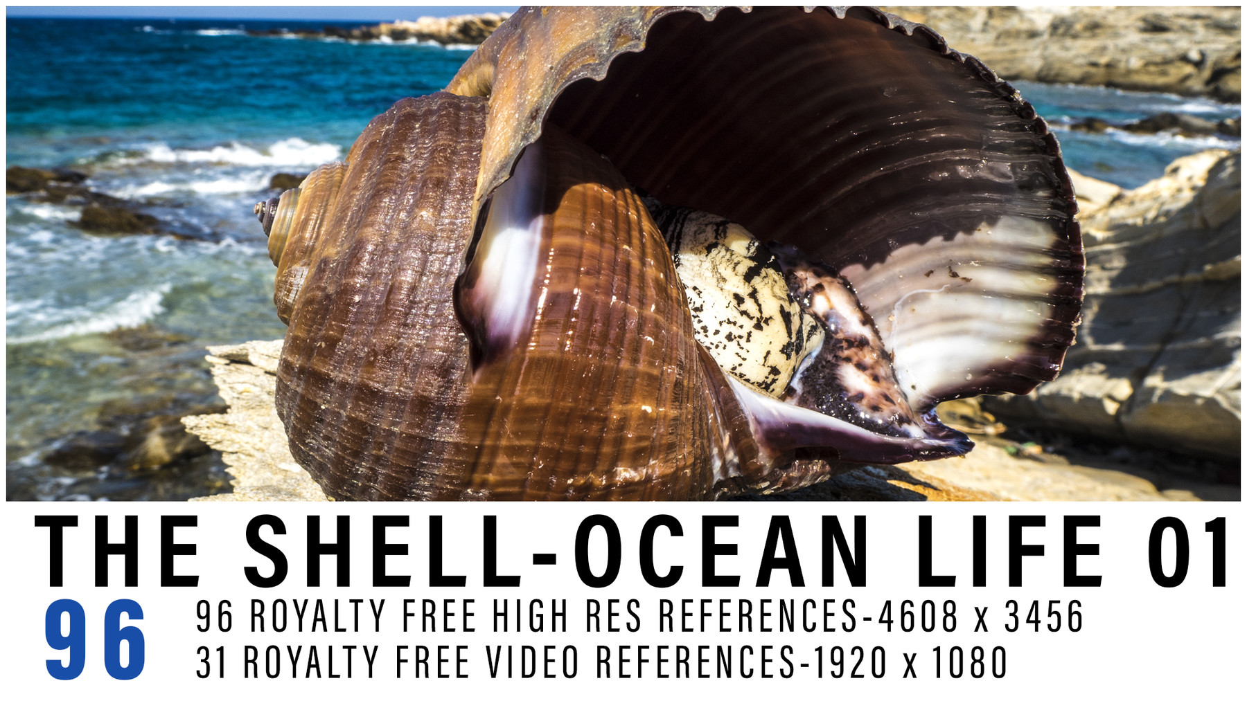 ArtStation - THE SHELL - OCEAN LIFE PACK 01 | Resources