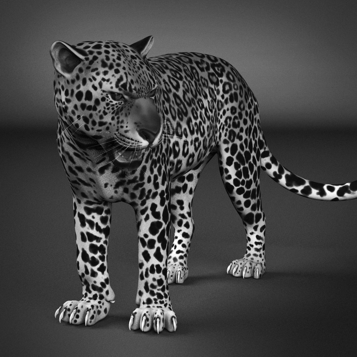 ArtStation - Leopard Maya Rig | Resources