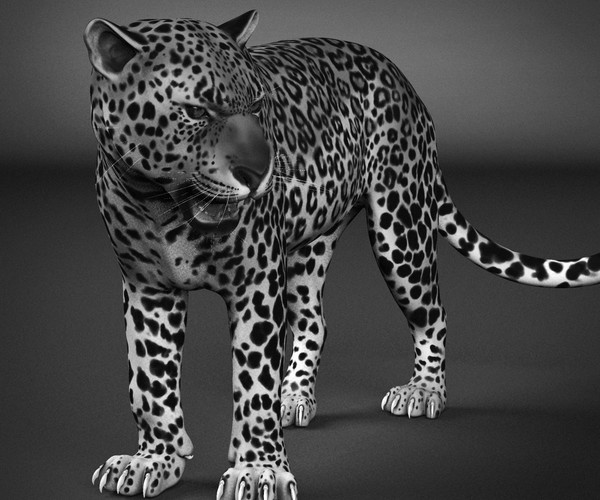 ArtStation - Leopard Maya Rig | Resources