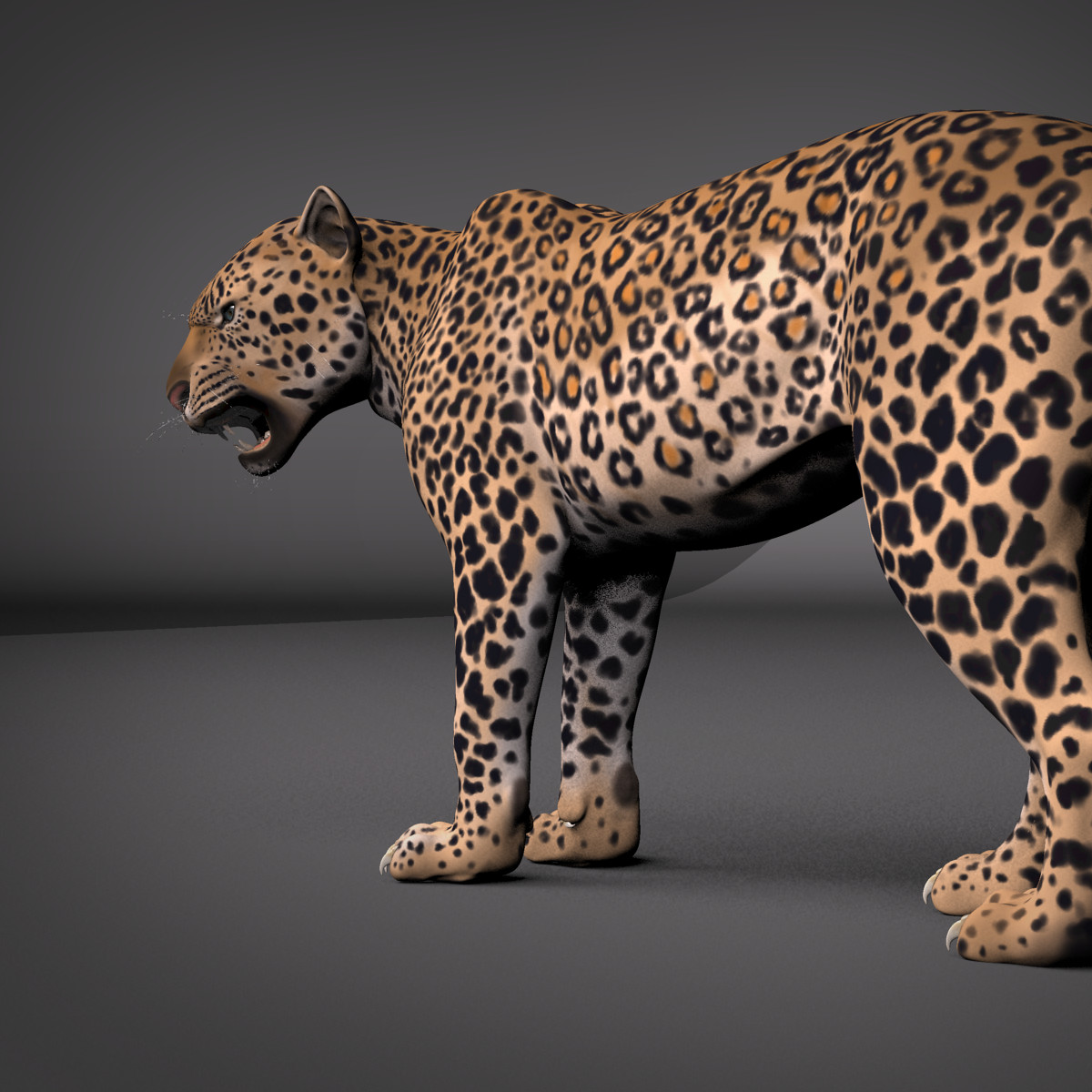 ArtStation - Leopard Maya Rig | Resources