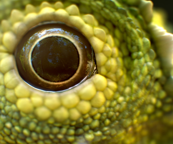 ArtStation - Zbrush - Lizard scales PACK + tutorial | Tutorials