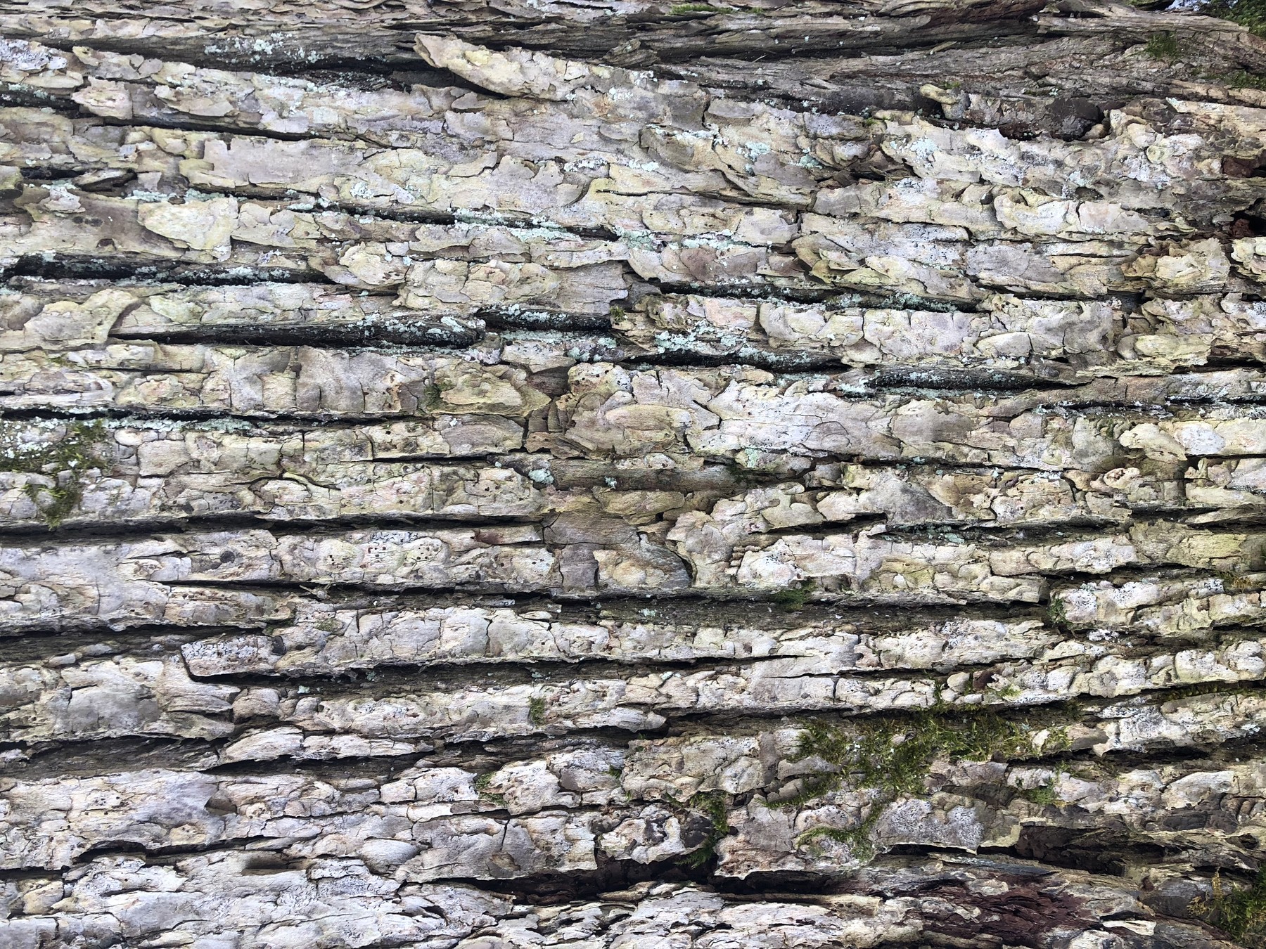 ArtStation - Northern Cave - Reference Bundle | Resources