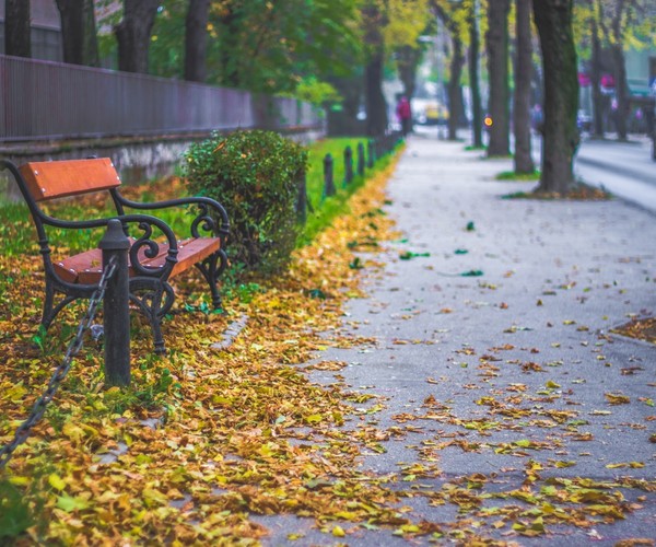 ArtStation - Autumn Photo Pack | Resources