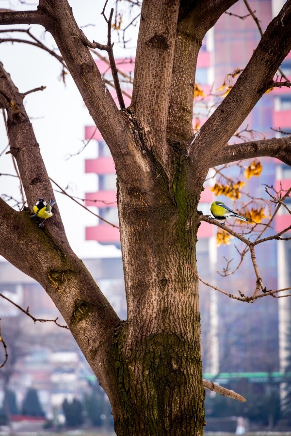 ArtStation - Autumn Photo Pack | Resources