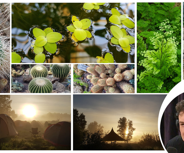 ArtStation - Nature Reference | Resources