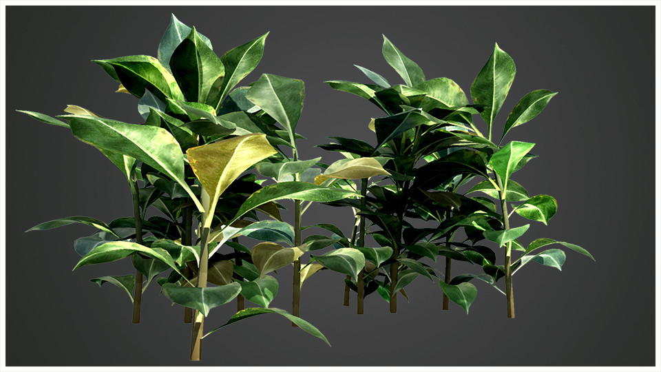ArtStation - Plant | Game Assets