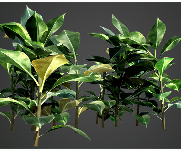 ArtStation - Plant | Game Assets