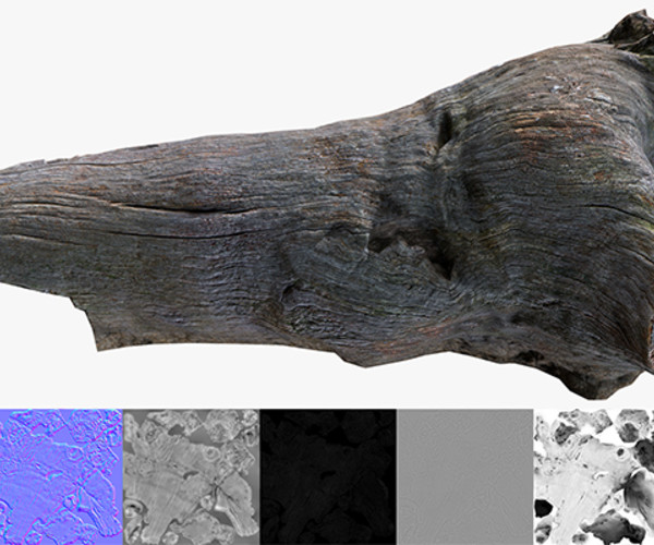 ArtStation - OLD DEAD TREE | Game Assets