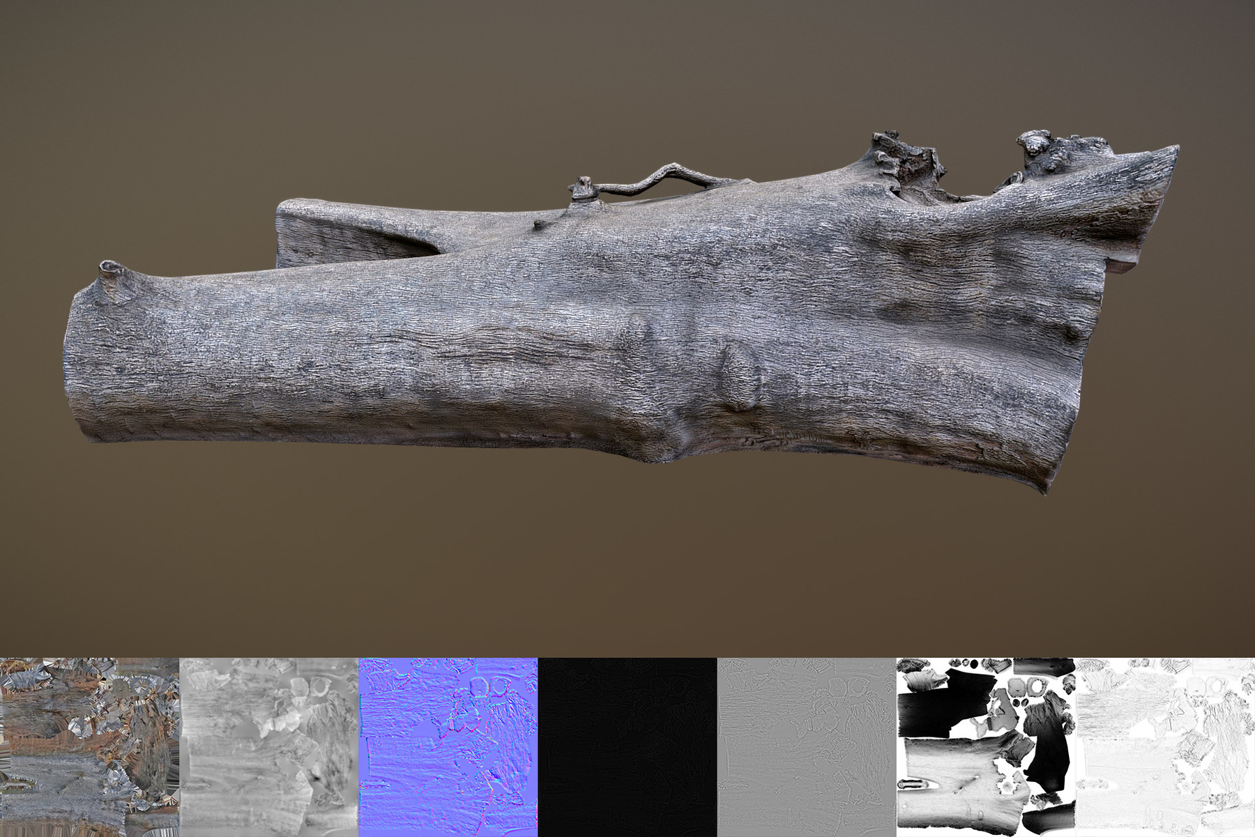 ArtStation - Dead Tree Trunk | Resources