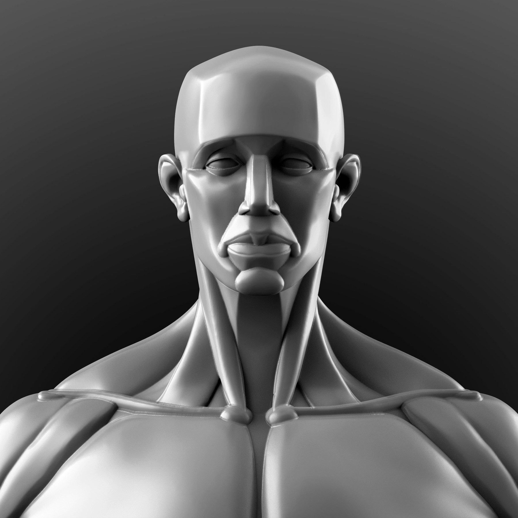 ArtStation - Anatomy Sculpture | Resources