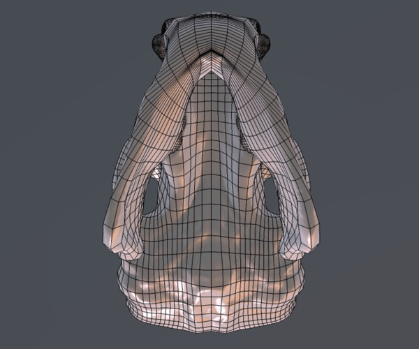 Artstation Gorilla Skull Refined Scan Resources