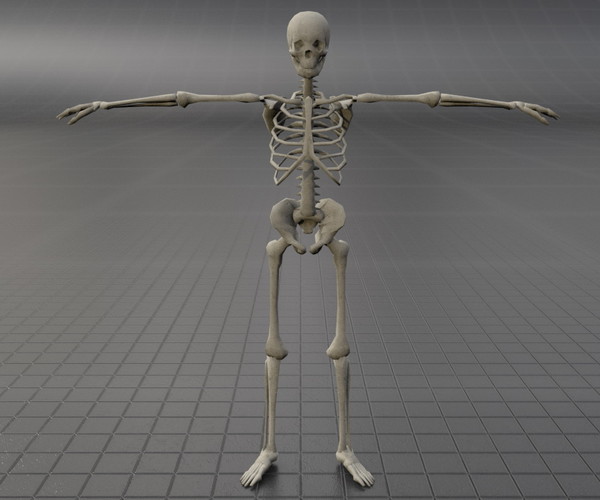 ArtStation - Skeleton Poses Pack - Low-poly 3D model | Game Assets