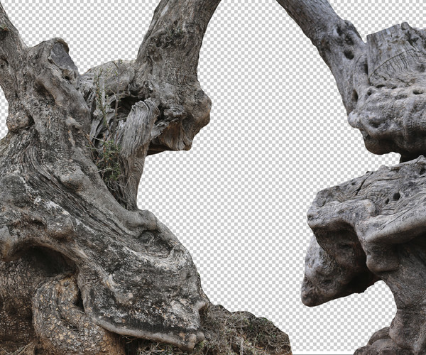 ArtStation - Reference Pack - Knotty Tree Trunk | Resources