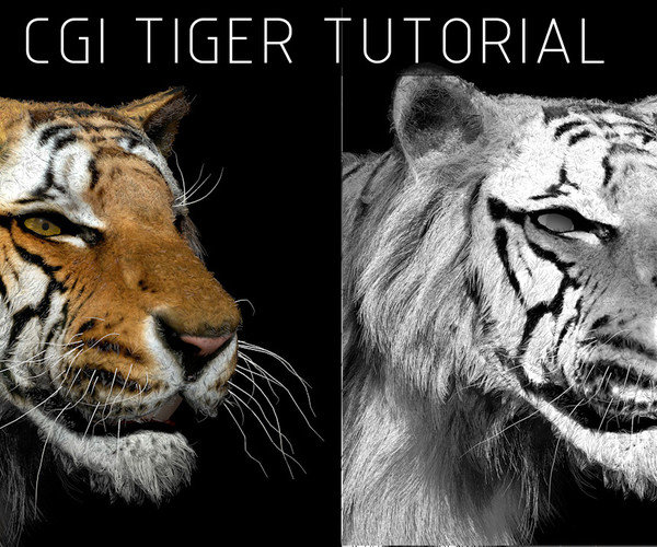 ArtStation - HOW TO MAKE A 3D TIGER | Tutorials
