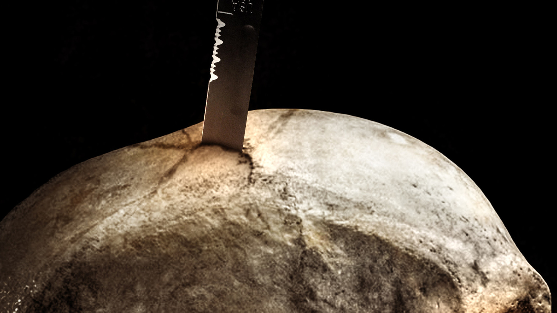 ArtStation - Skull's Out | Artworks