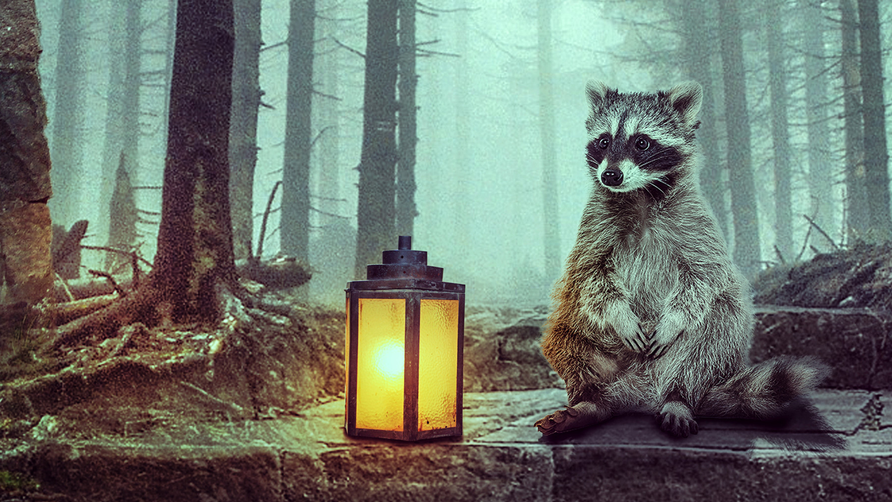 ArtStation - Magical Raccoon | Artworks