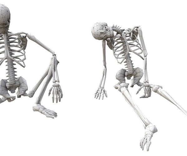 ArtStation - Skeleton Sitting Poses - Low-poly 3D model | Resources