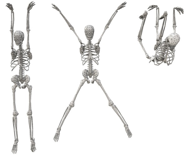 ArtStation - Skeleton Hanging Poses - Low-poly 3D model | Resources