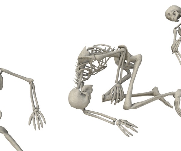 ArtStation - Skeleton Laying Poses - Low-poly 3D model | Resources