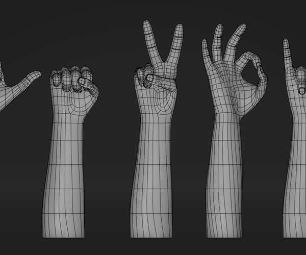 ArtStation - Realistic Hand-Rigged | Resources