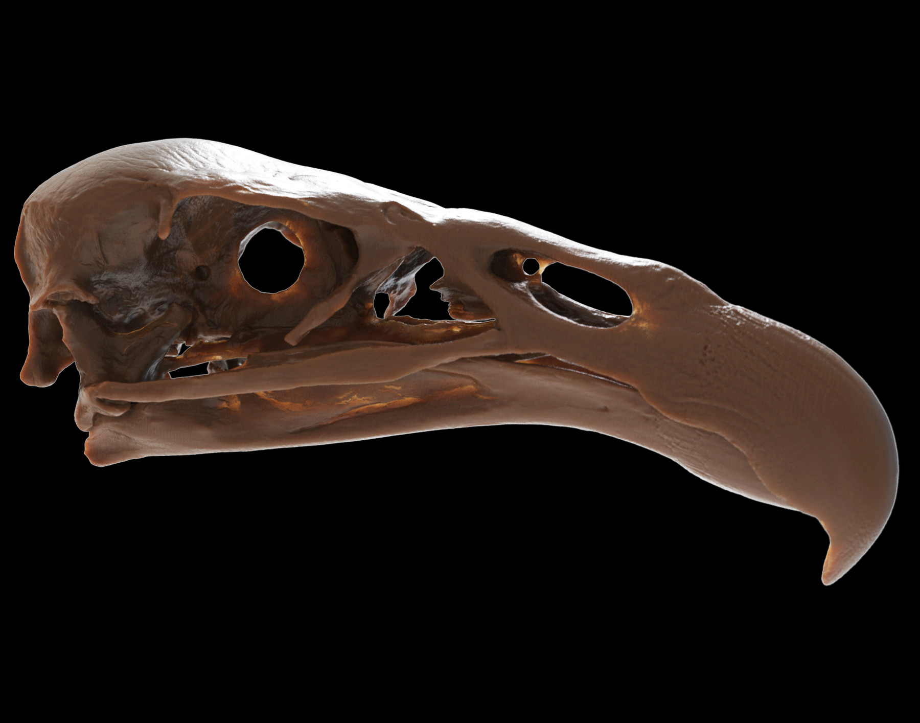 ArtStation - Condor | Resources