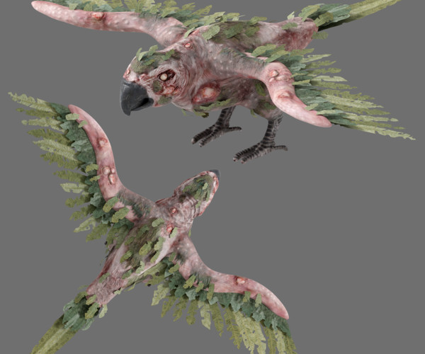 ArtStation - Green Bird Monster | Game Assets