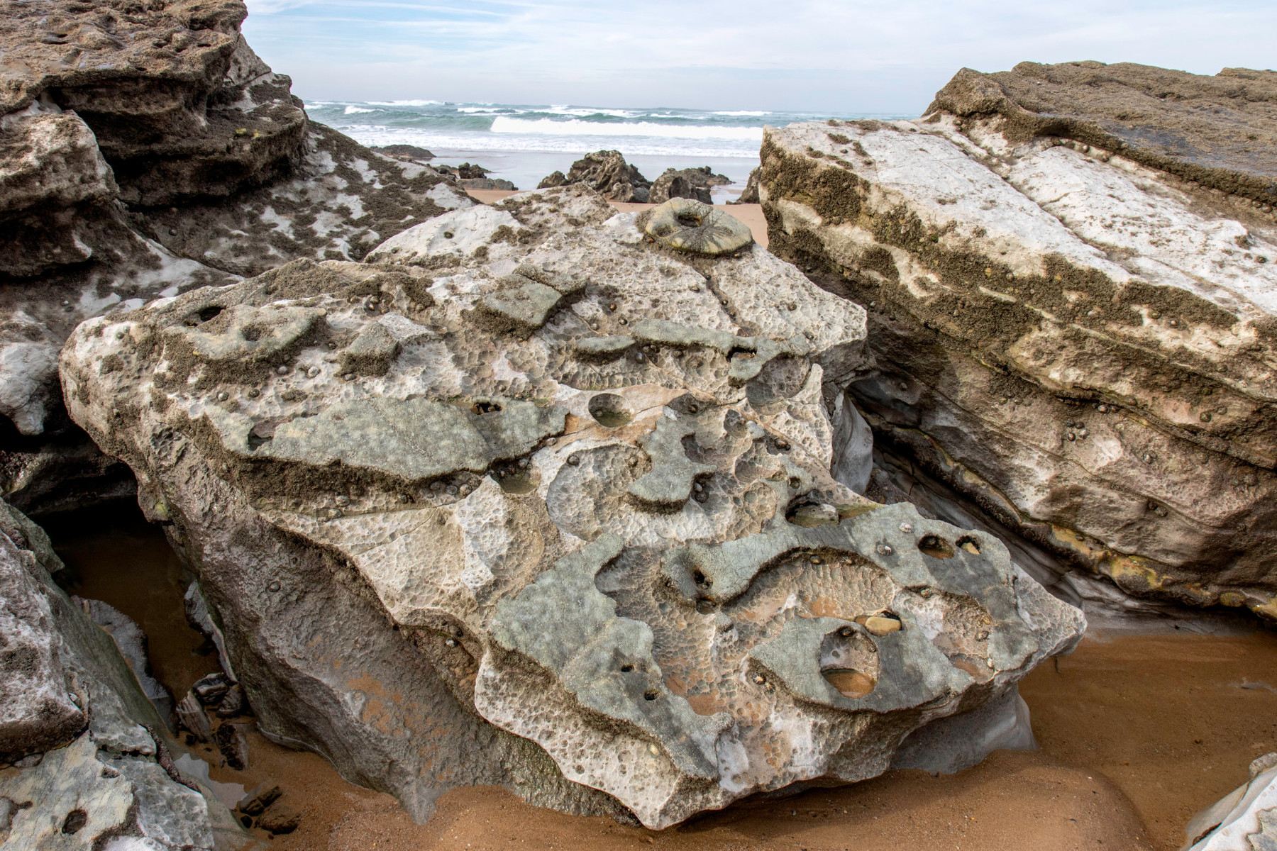 ArtStation - Maritime Rocks Photo Reference Vol. 2 | Resources