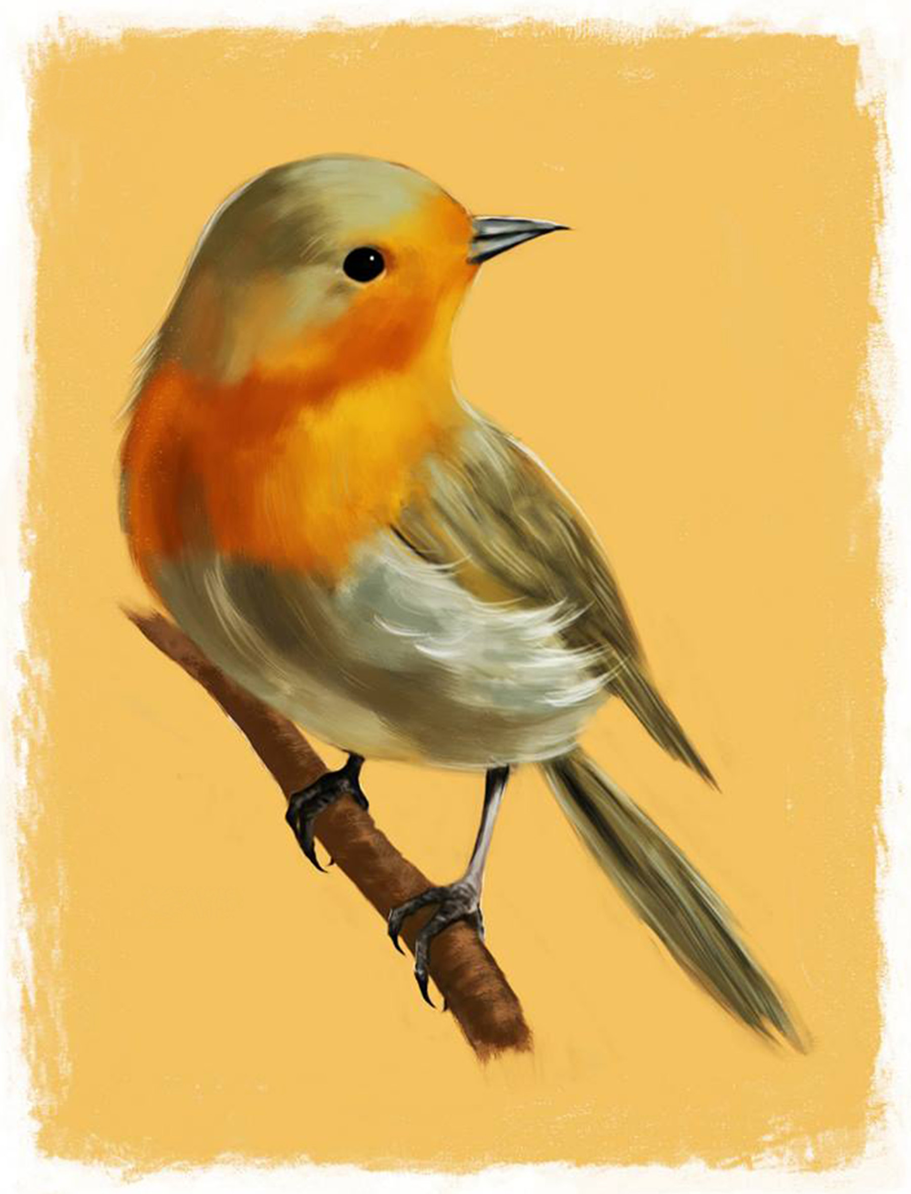 ArtStation - Robin Bird | Artworks