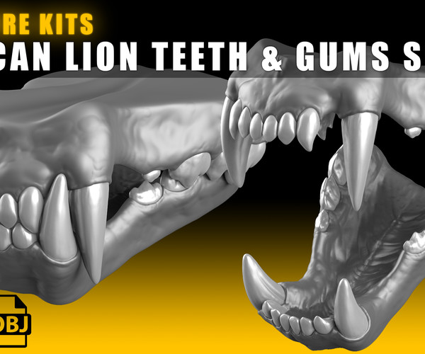 ArtStation - CREATURE KITS: African Lion Teeth & Gums - High Poly OBJ ...