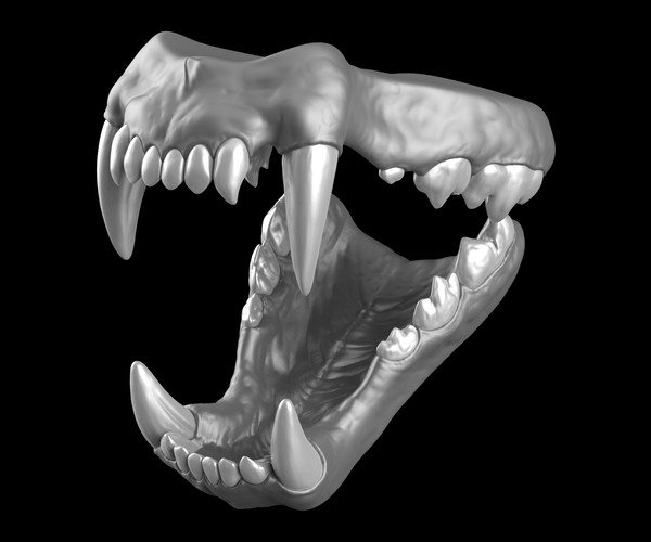ArtStation - CREATURE KITS: African Lion Teeth & Gums - High Poly OBJ ...