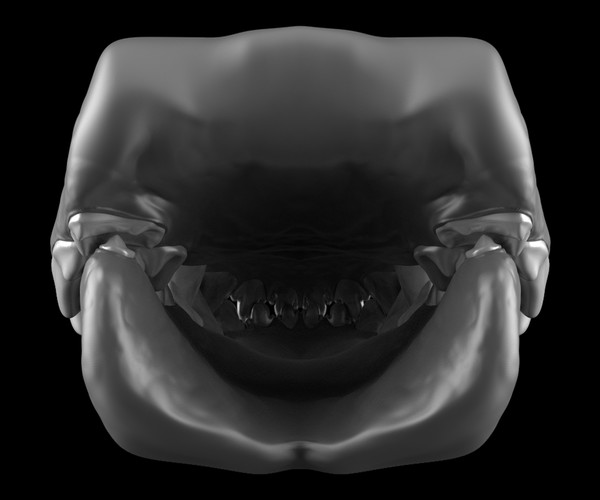 ArtStation - CREATURE KITS: Wolf Teeth & Gums - High Poly OBJ File ...