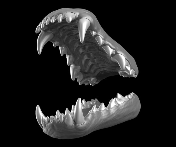 ArtStation - CREATURE KITS: Bundle 1 - 4 Teeth & Gums Sets - High Poly ...