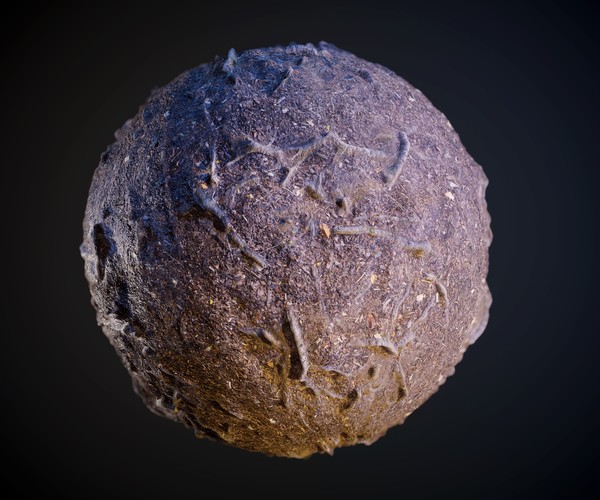 ArtStation - Tree Roots Forrest Seamless PBR Texture | Game Assets