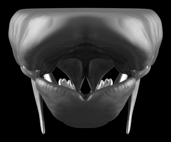 ArtStation - CREATURE KITS: Vampire Bat Teeth & Gums - High Poly OBJ ...