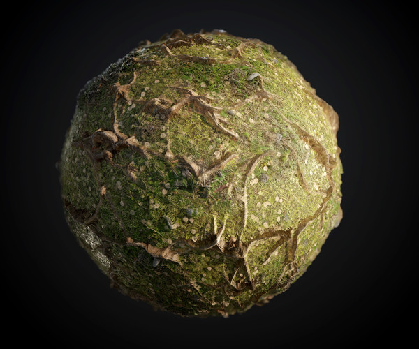 ArtStation - Forrest Roots Ground Seamless PBR Texture | Game Assets