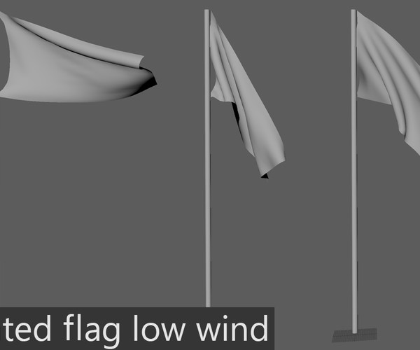 ArtStation - Animated Flag - low wind | Game Assets