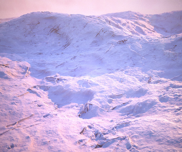 ArtStation - Freshly Fallen Snow - Substance Designer Material | Resources