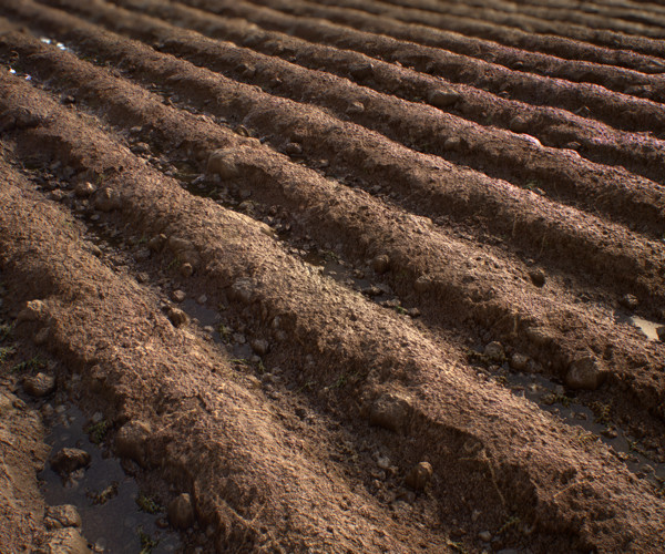ArtStation - Tilled Soil - Substance Designer Material | Resources