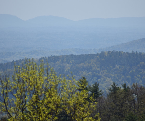 ArtStation - North American Nature: Reference Pack | Resources