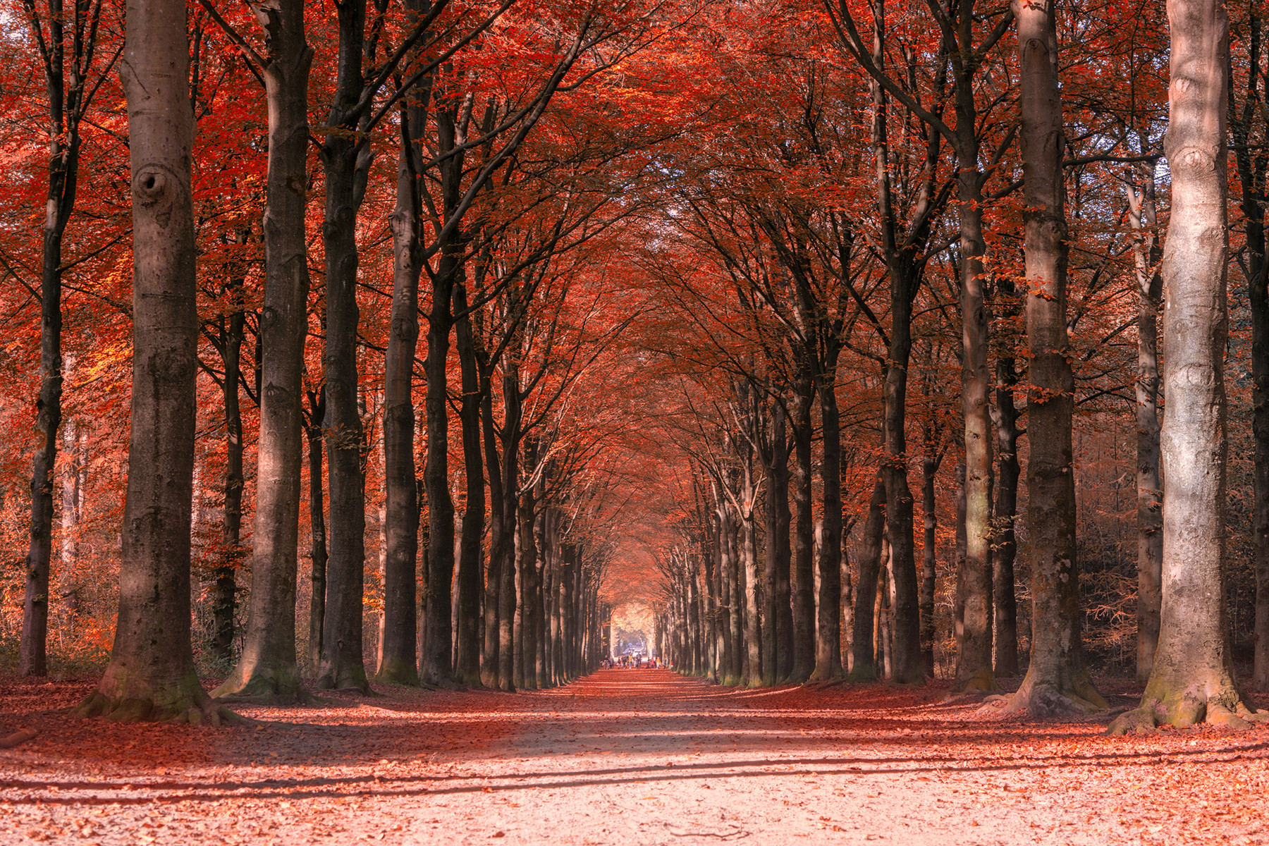 ArtStation - Reference: Autumn Pack 50 | Resources