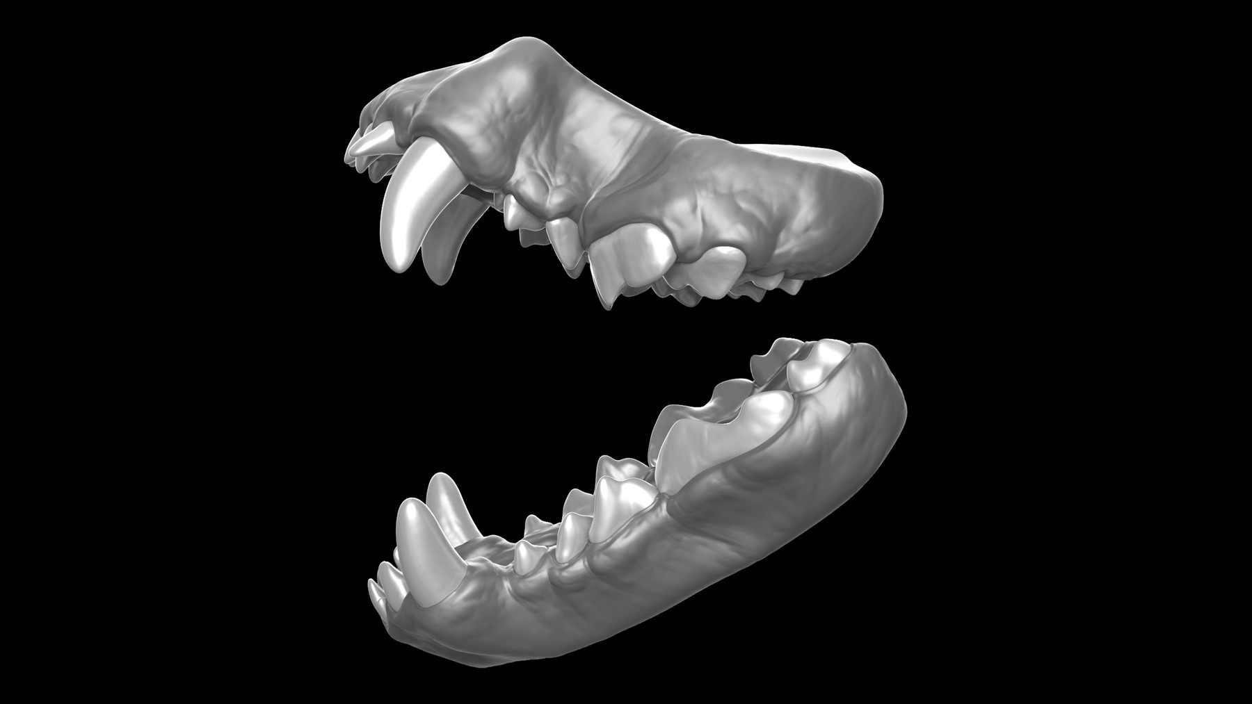 ArtStation - CREATURE KITS: Pug Teeth & Gums - High Poly OBJ File ...