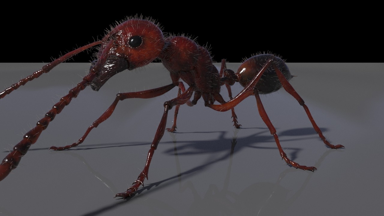 ArtStation - Fire Ant Maya Rig | Resources