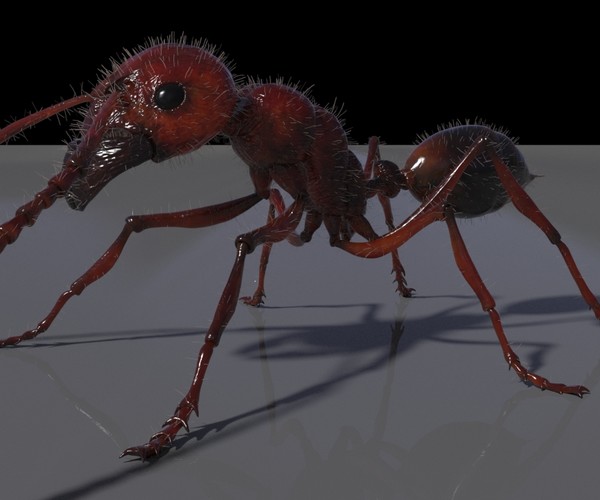 ArtStation - Fire Ant Maya Rig | Resources